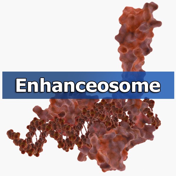 Enzyme 3D Models for Download | TurboSquid
