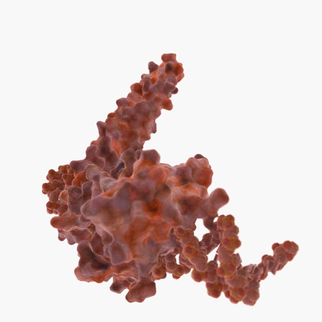 Enhanceosome Protein Organic Max