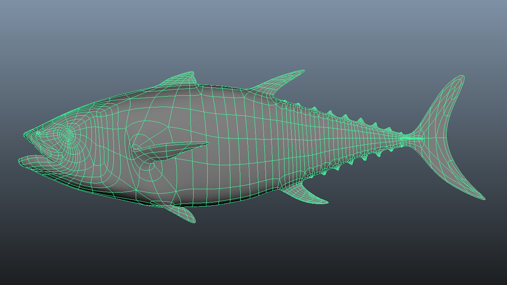 Pacific bluefin tuna 3D model - TurboSquid 1692335