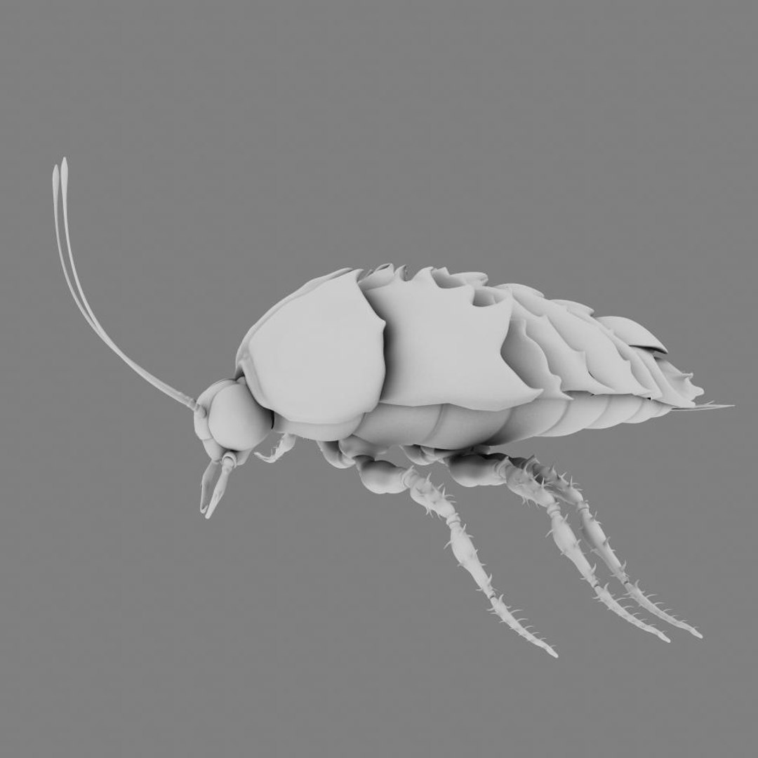 obj stylized cockroach