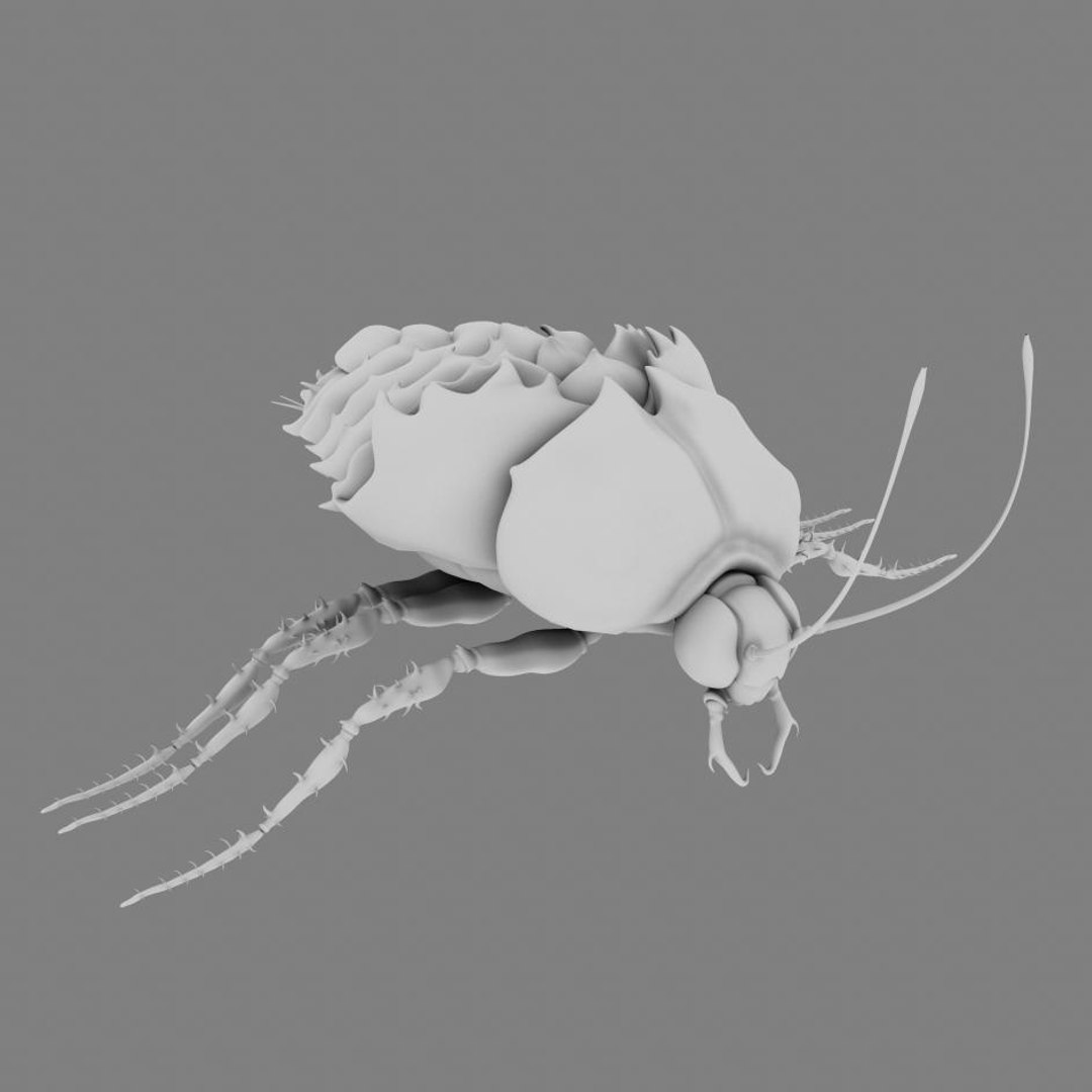 obj stylized cockroach