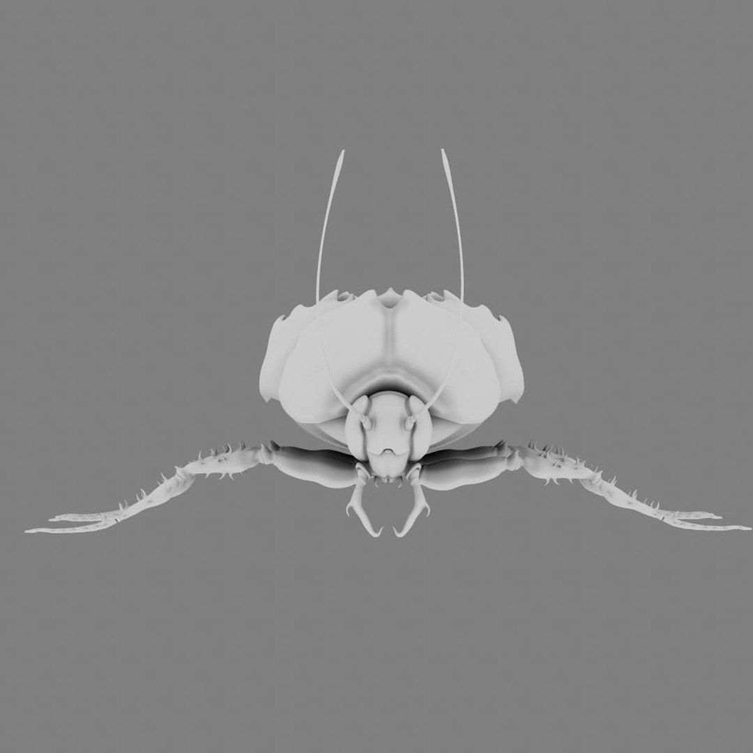 obj stylized cockroach