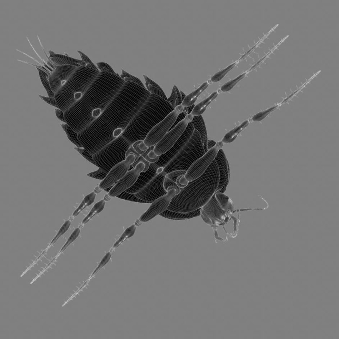 obj stylized cockroach