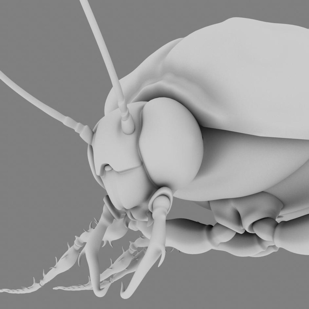 obj stylized cockroach