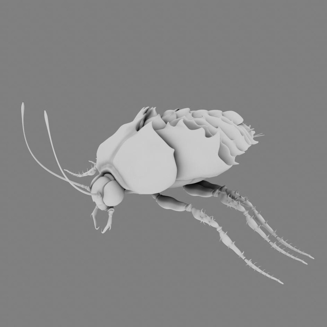 obj stylized cockroach