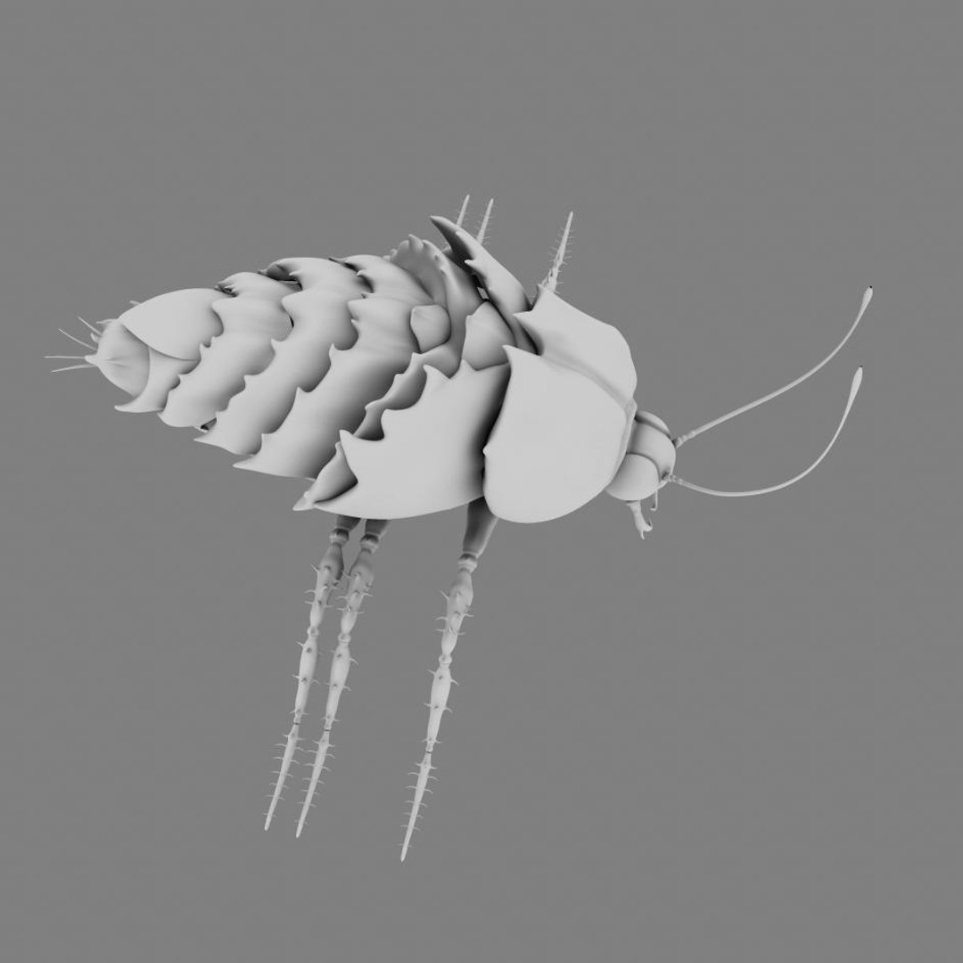 obj stylized cockroach