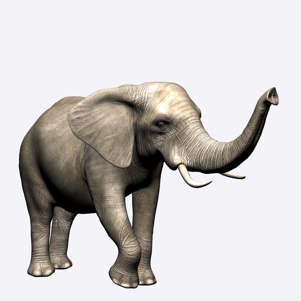 Elephant model - TurboSquid 1252567