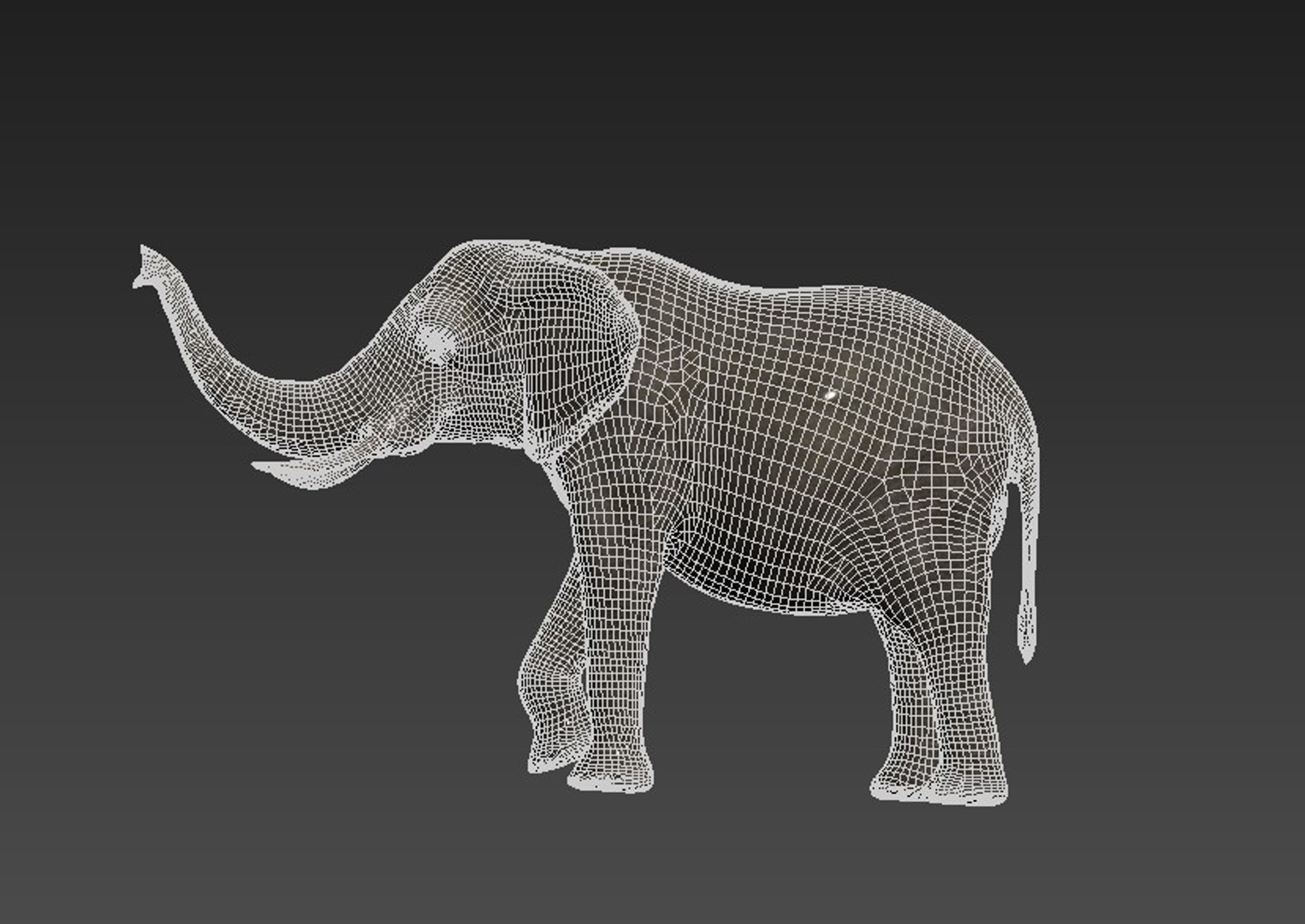 Elephant Model - TurboSquid 1252567