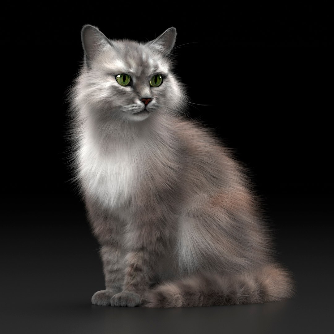 modelo 3d Gato realista - 2 - TurboSquid 1638411