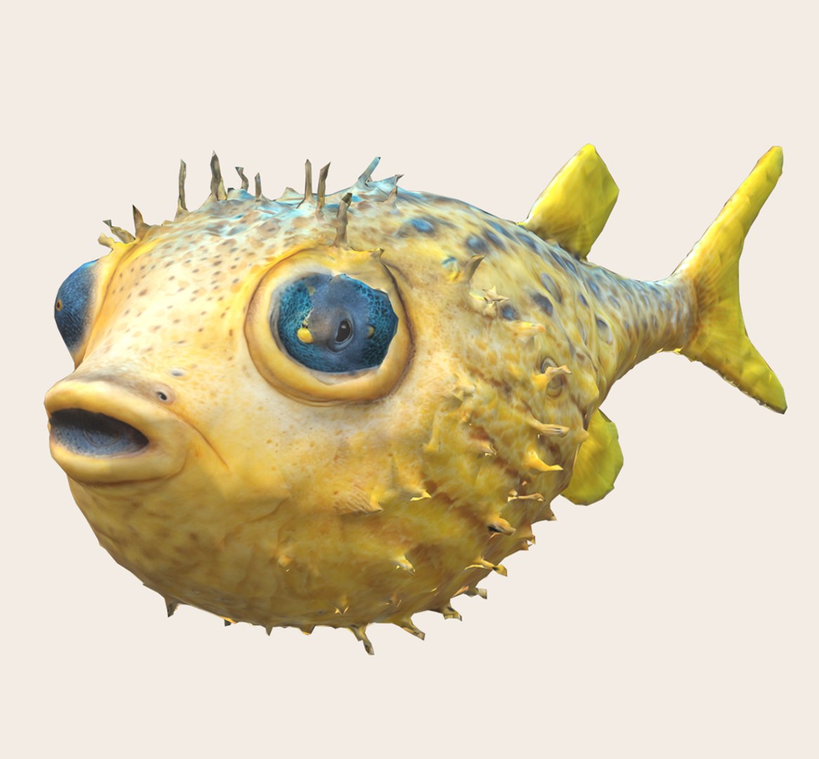 Puffer Fish 3D Model - TurboSquid 2271408