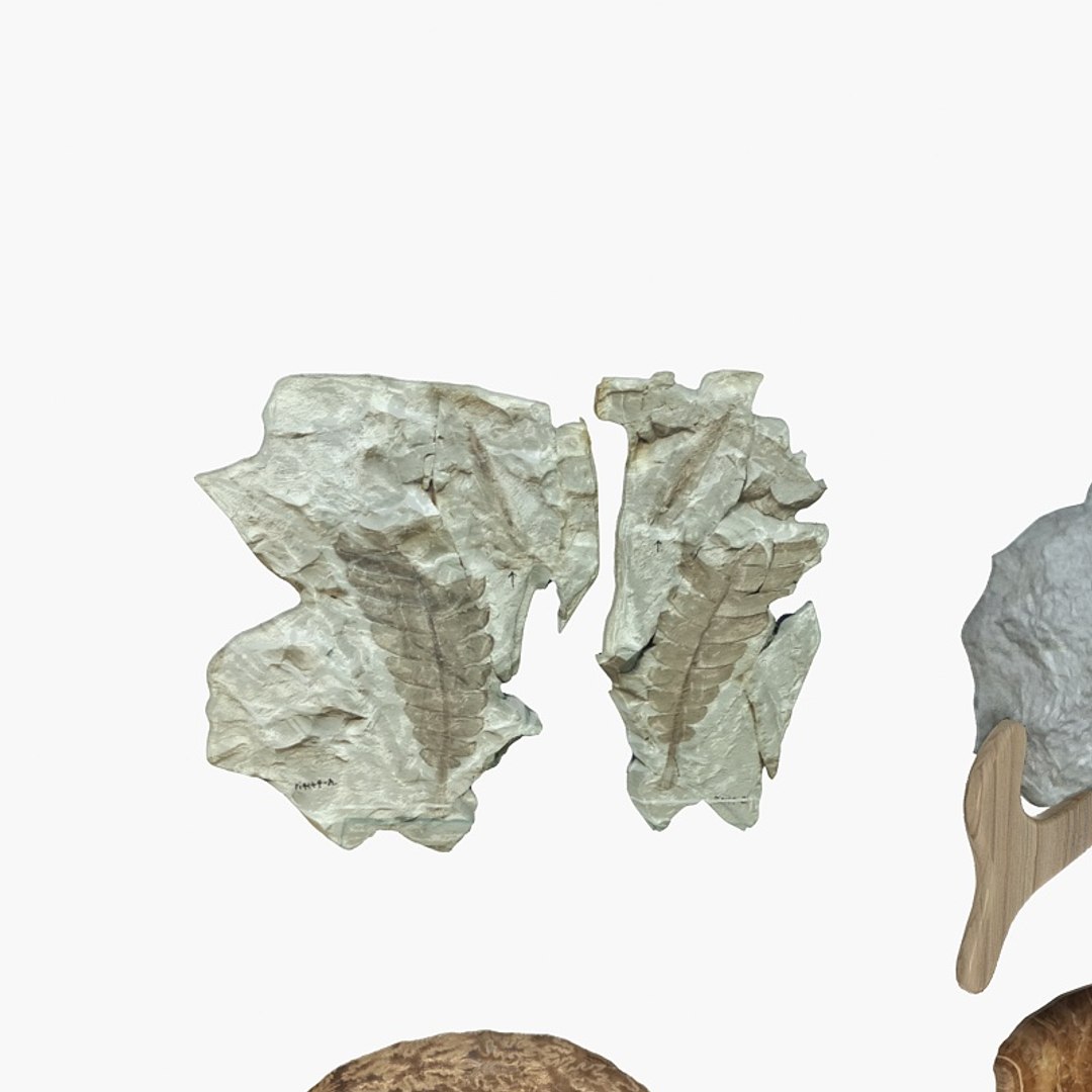 Stone Landscape Nature 3D Model - TurboSquid 1495606