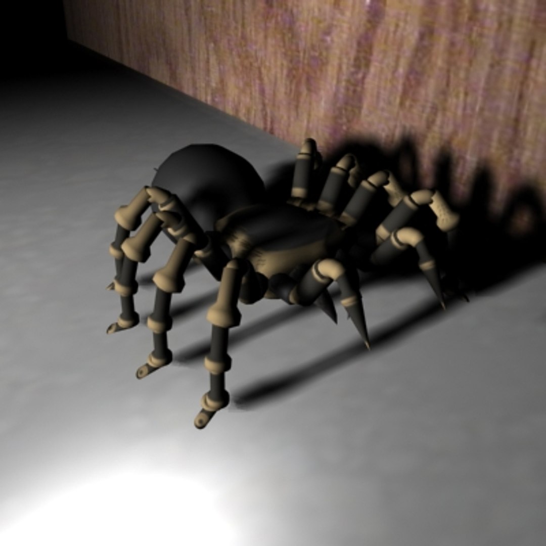 3d spider tarantula model