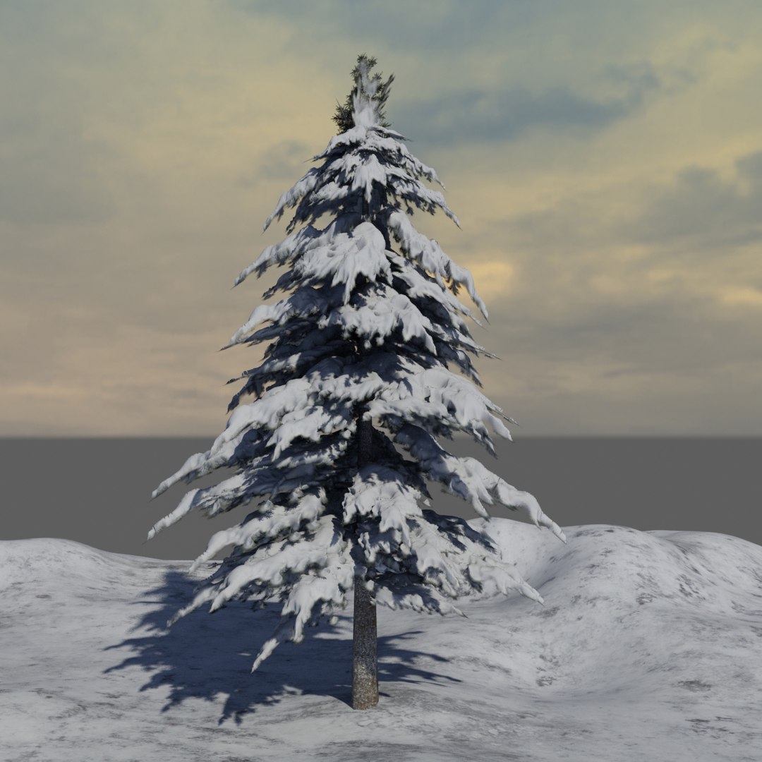 pine trees covered snow 3d max