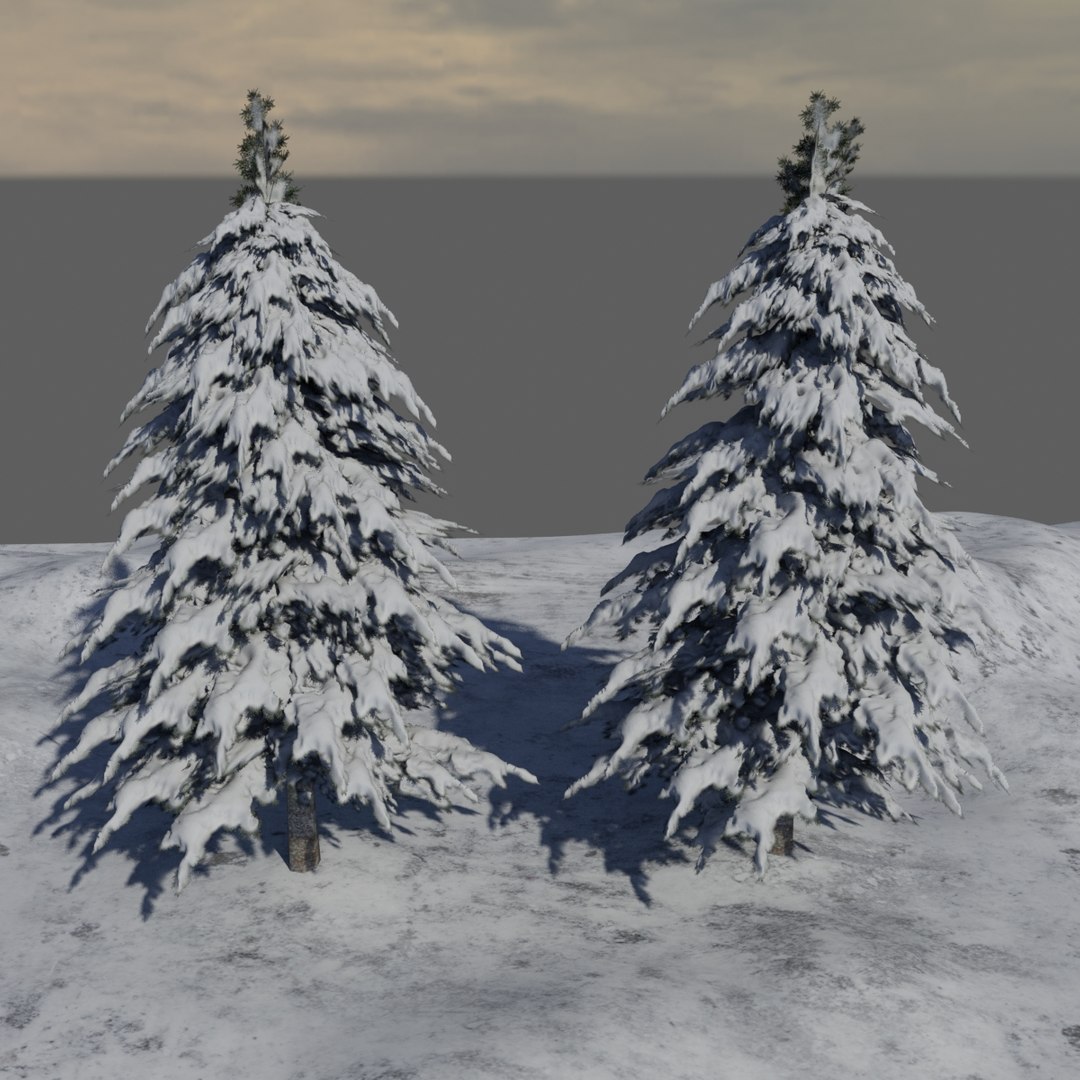 pine trees covered snow 3d max