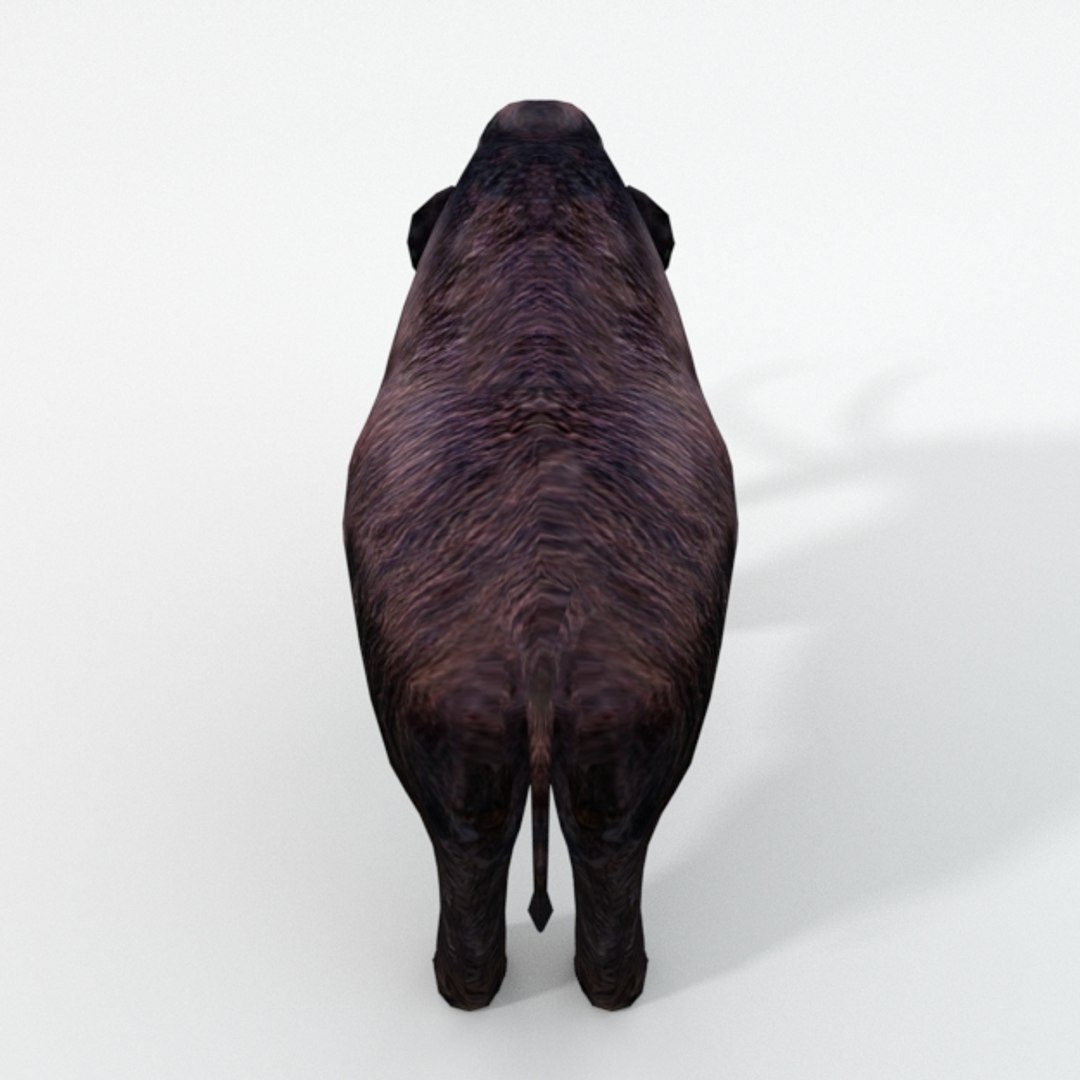 3D Model Mammoth - TurboSquid 1400302