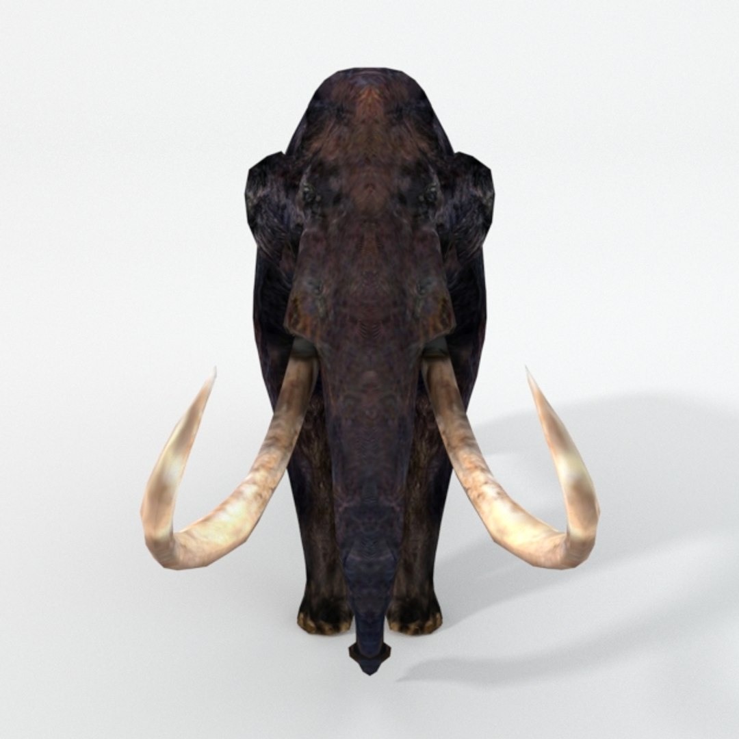 3D Model Mammoth - TurboSquid 1400302