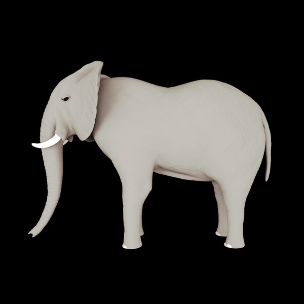 Elephant 3D Models for Download | TurboSquid