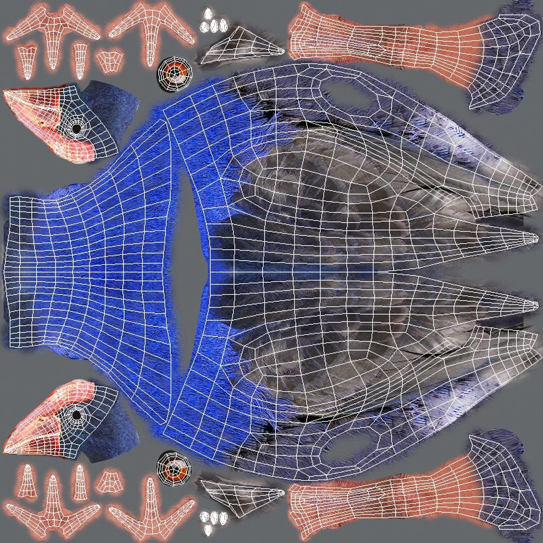 Pukeko 3D - TurboSquid 1633899