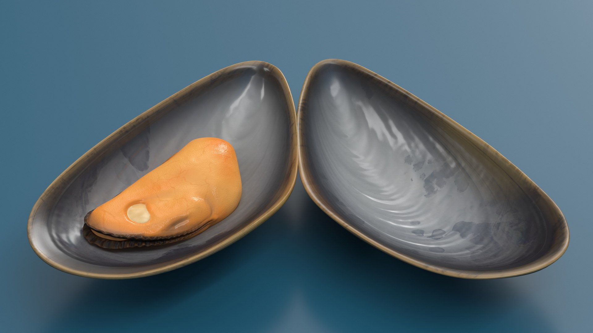 3D Boiled Sea Mussel Model - TurboSquid 2277625