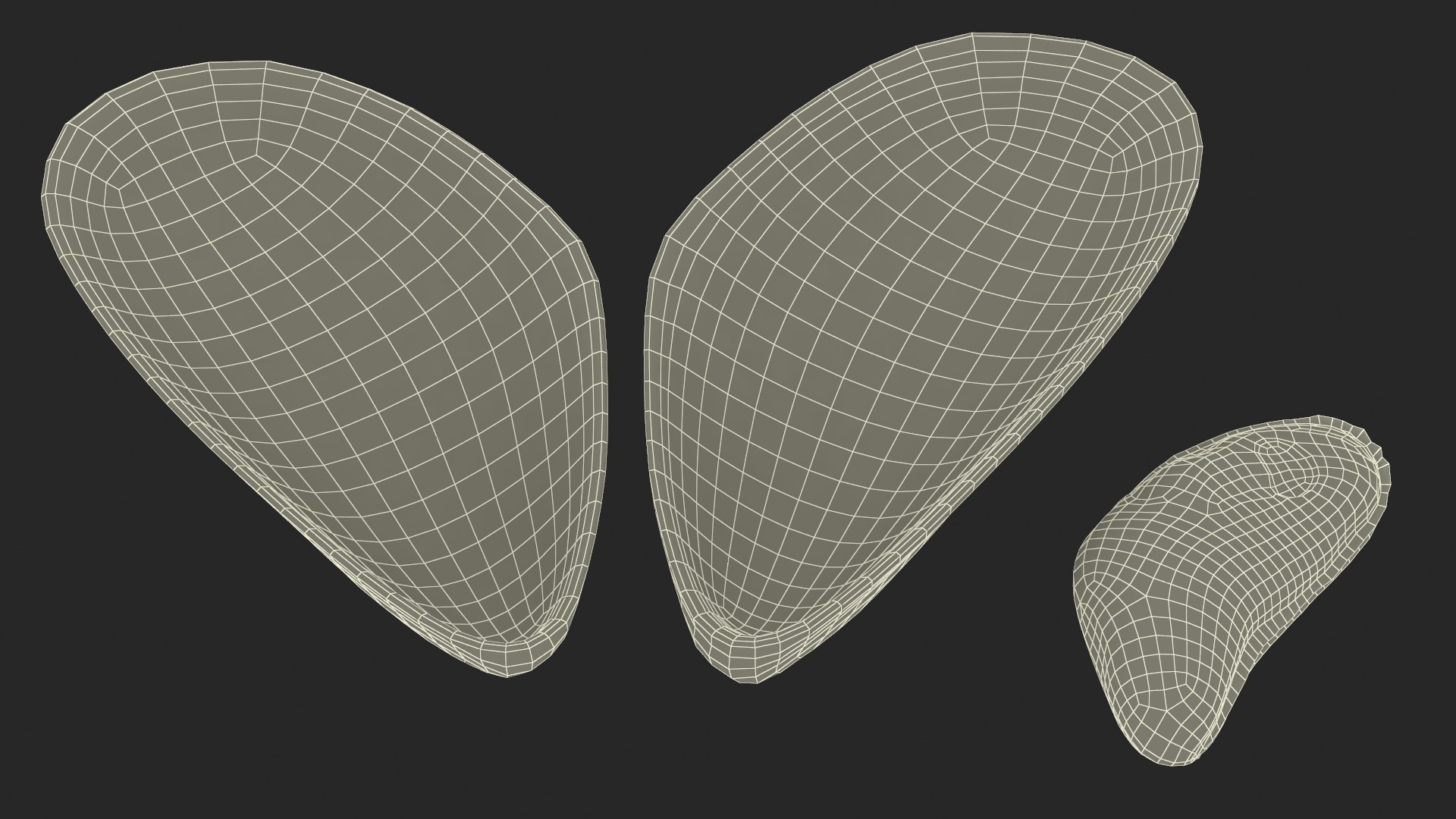 3D Boiled Sea Mussel Model - TurboSquid 2277625