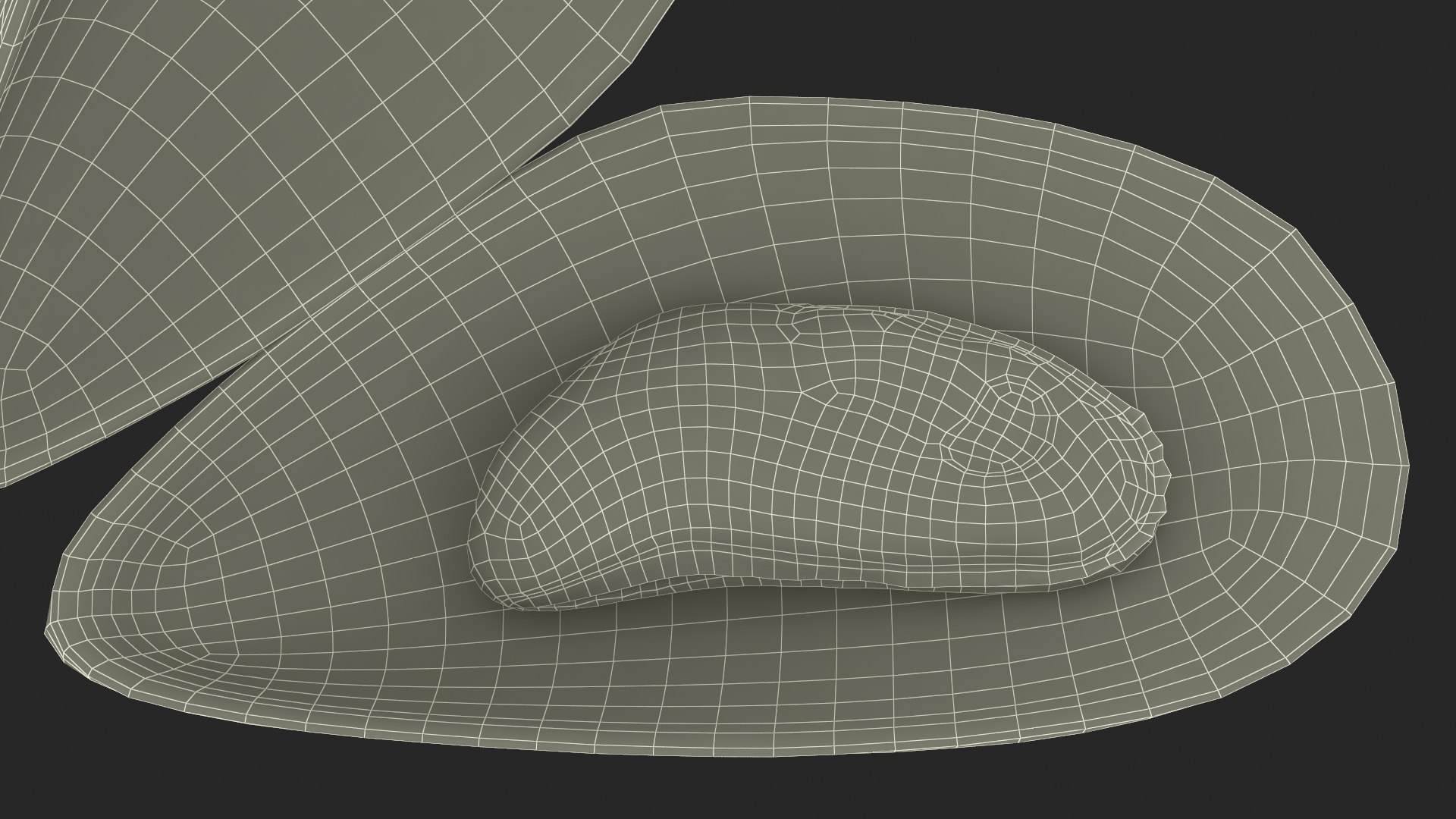 3D Boiled Sea Mussel Model - TurboSquid 2277625