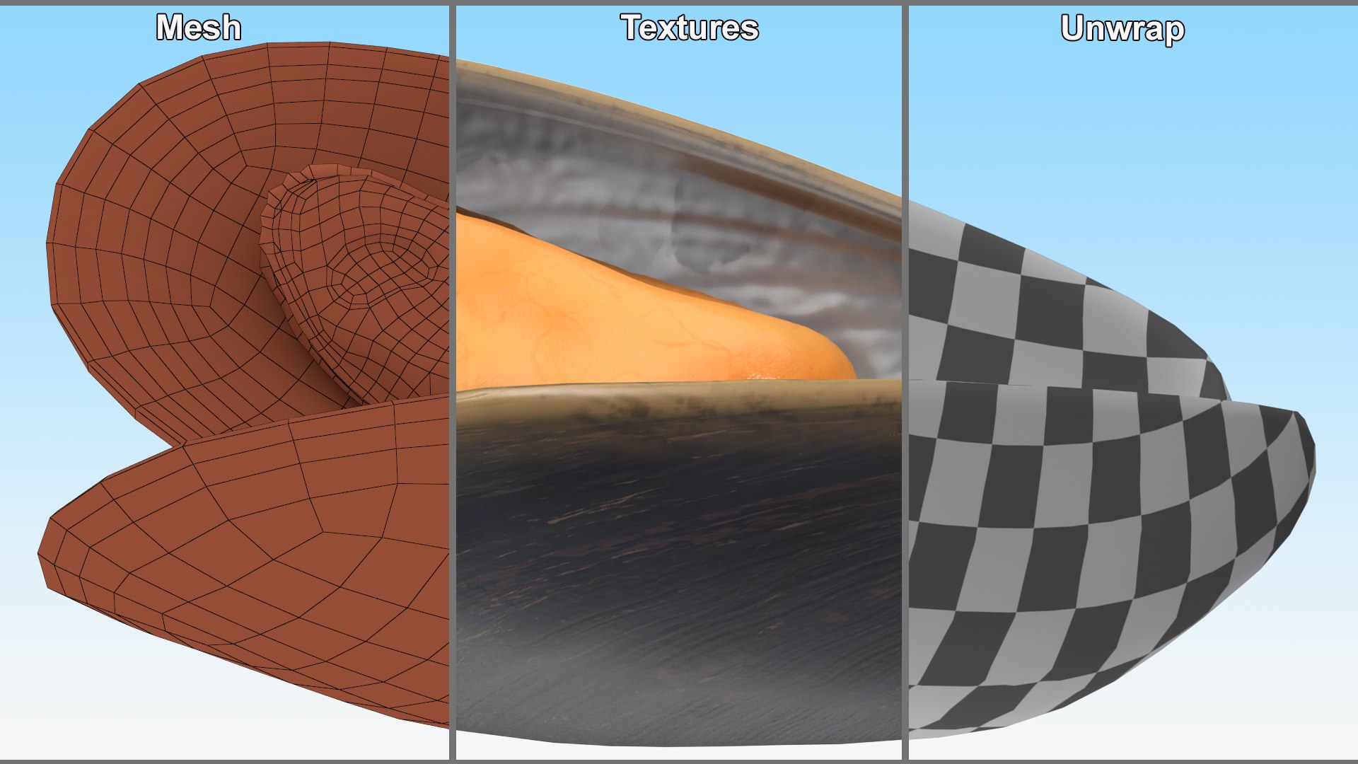 3D Boiled Sea Mussel Model - TurboSquid 2277625