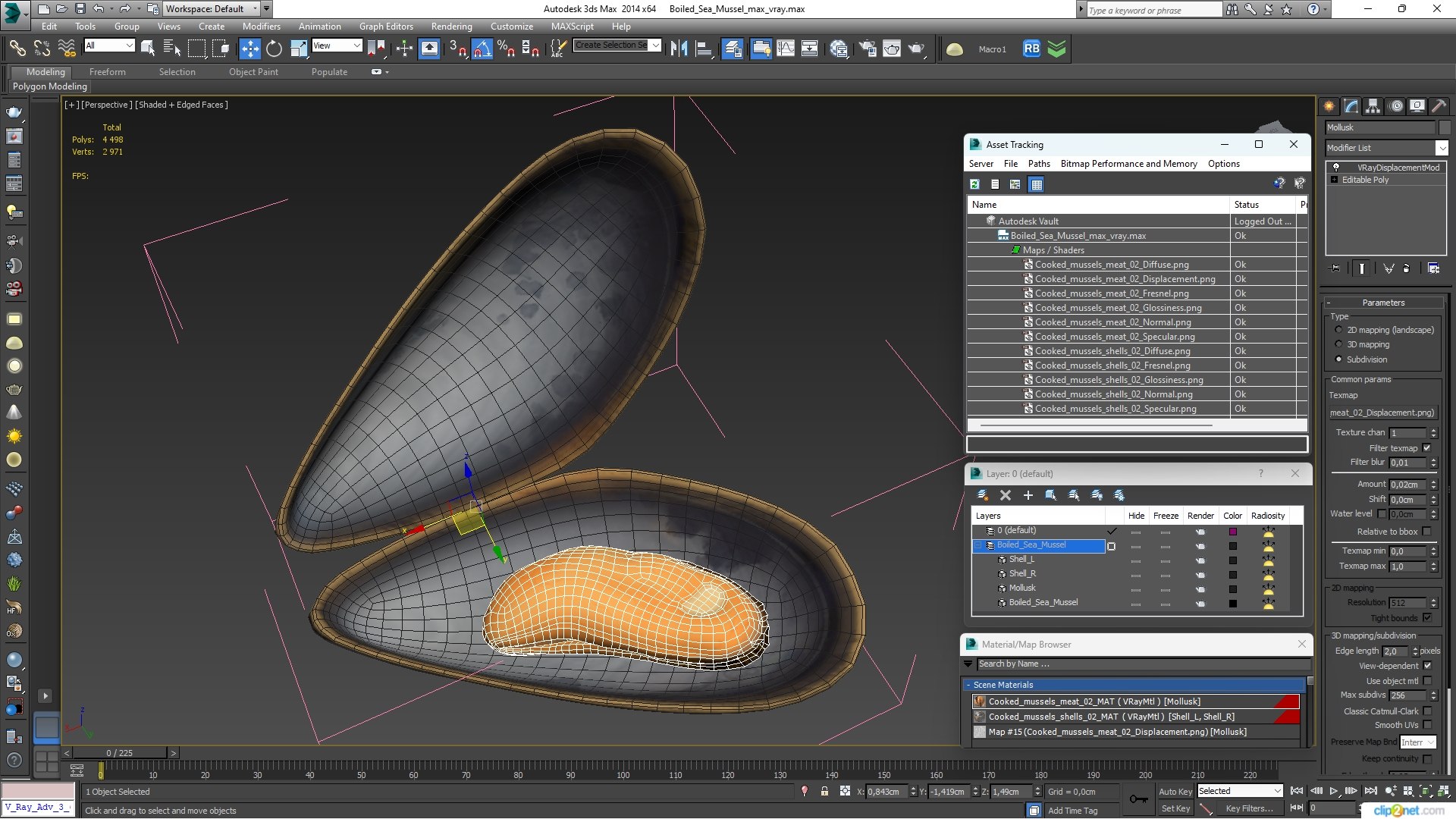 3D Boiled Sea Mussel Model - TurboSquid 2277625