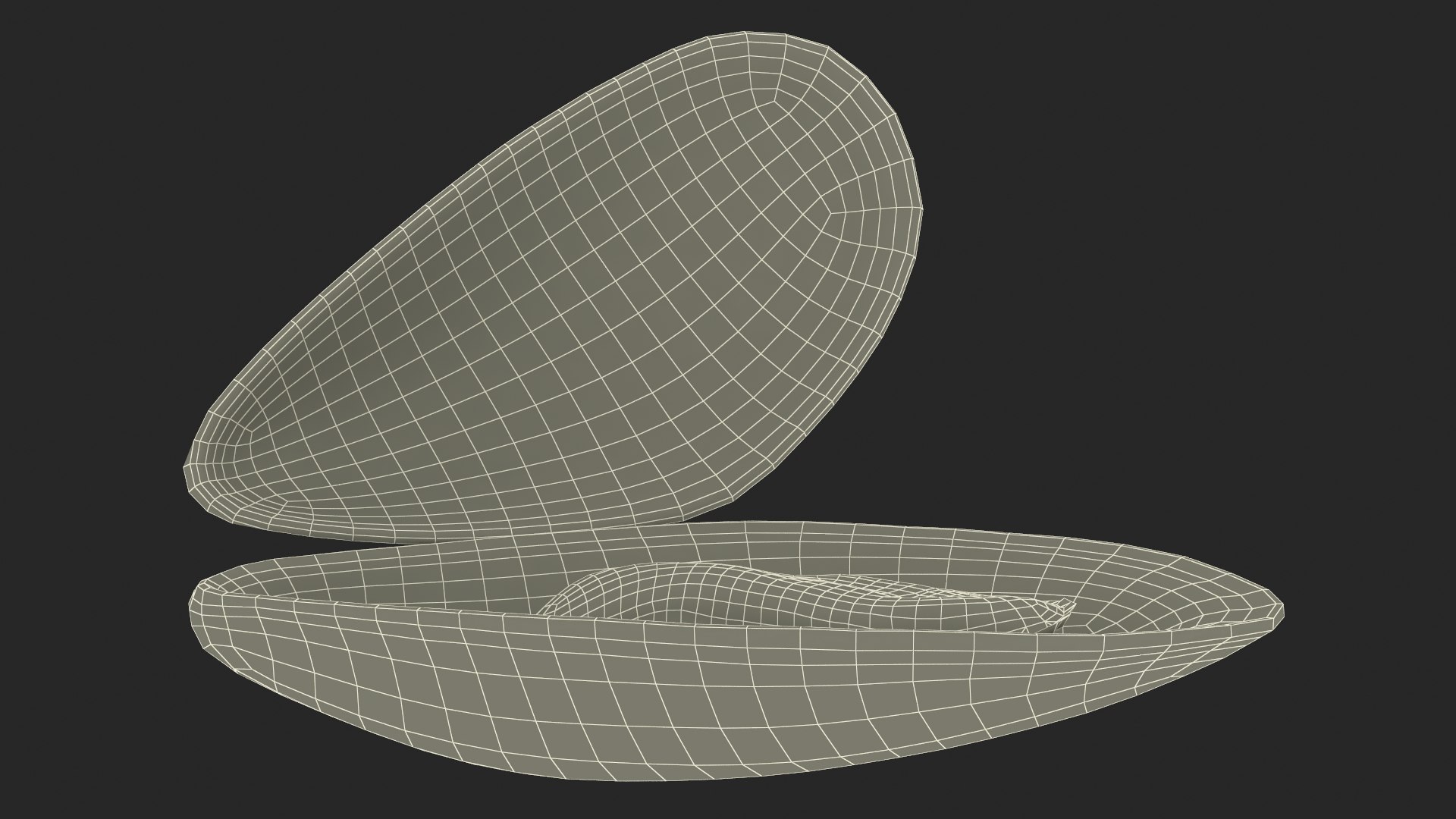 3D Boiled Sea Mussel Model - TurboSquid 2277625