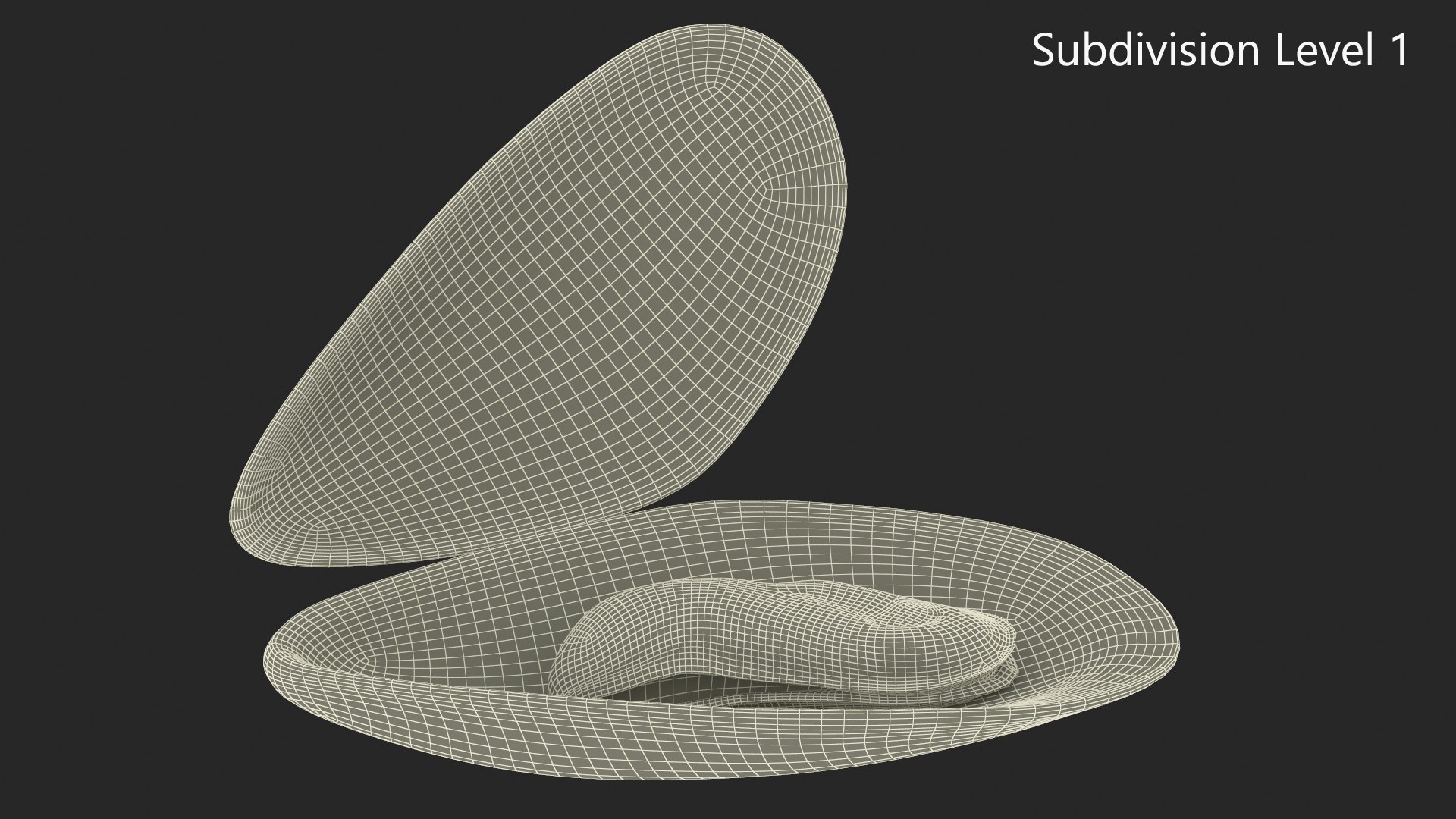 3D Boiled Sea Mussel Model - TurboSquid 2277625