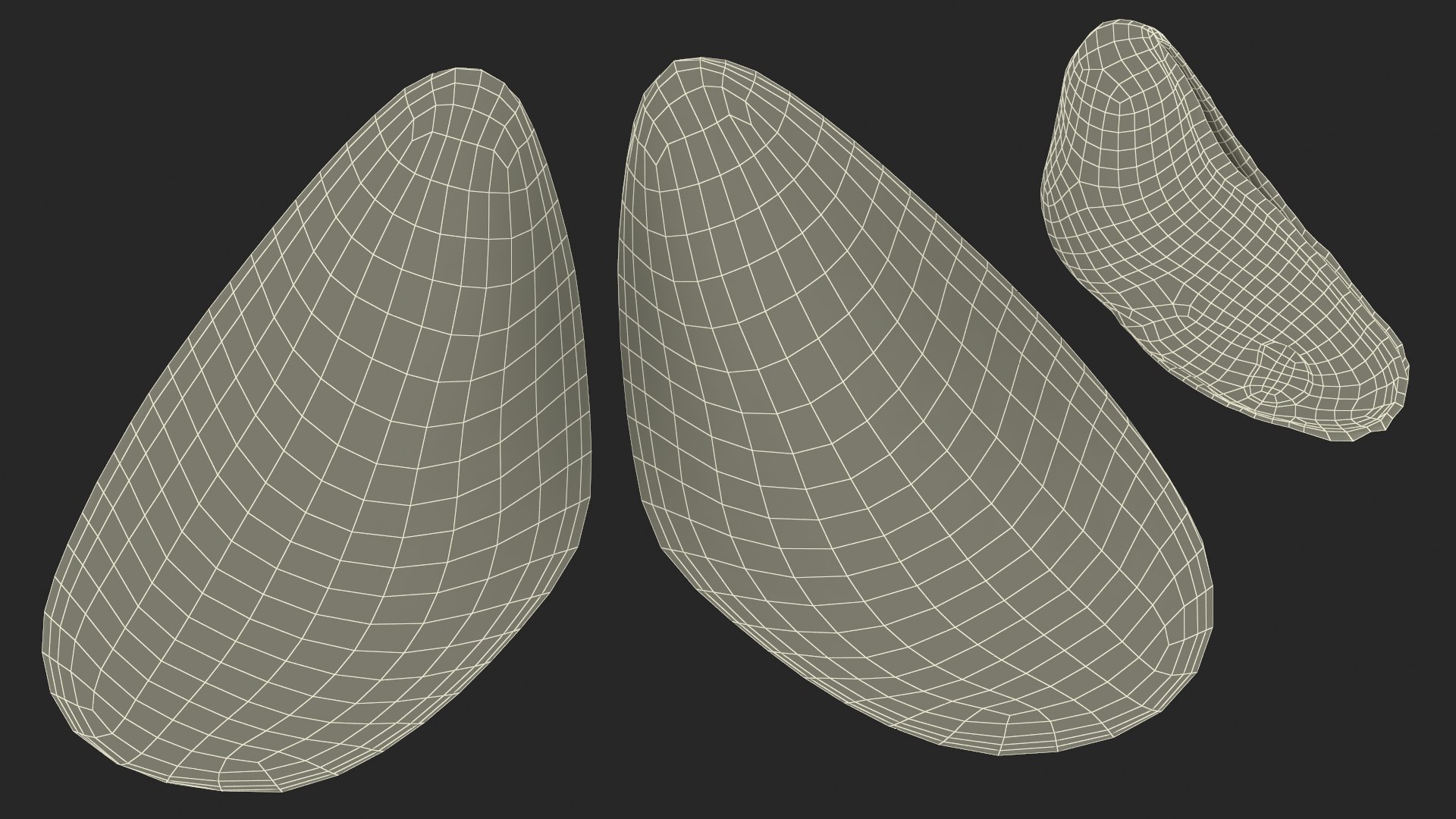 3D Boiled Sea Mussel Model - TurboSquid 2277625