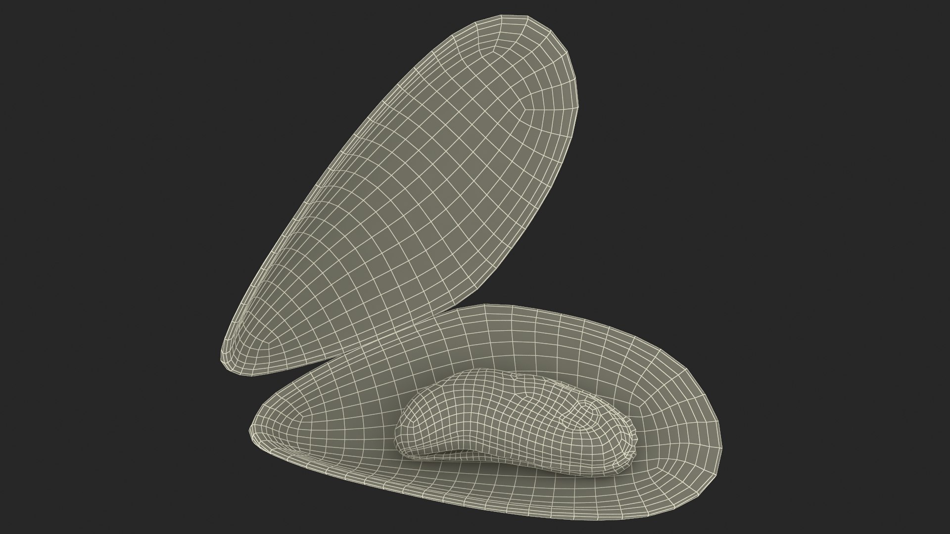 3D Boiled Sea Mussel Model - TurboSquid 2277625