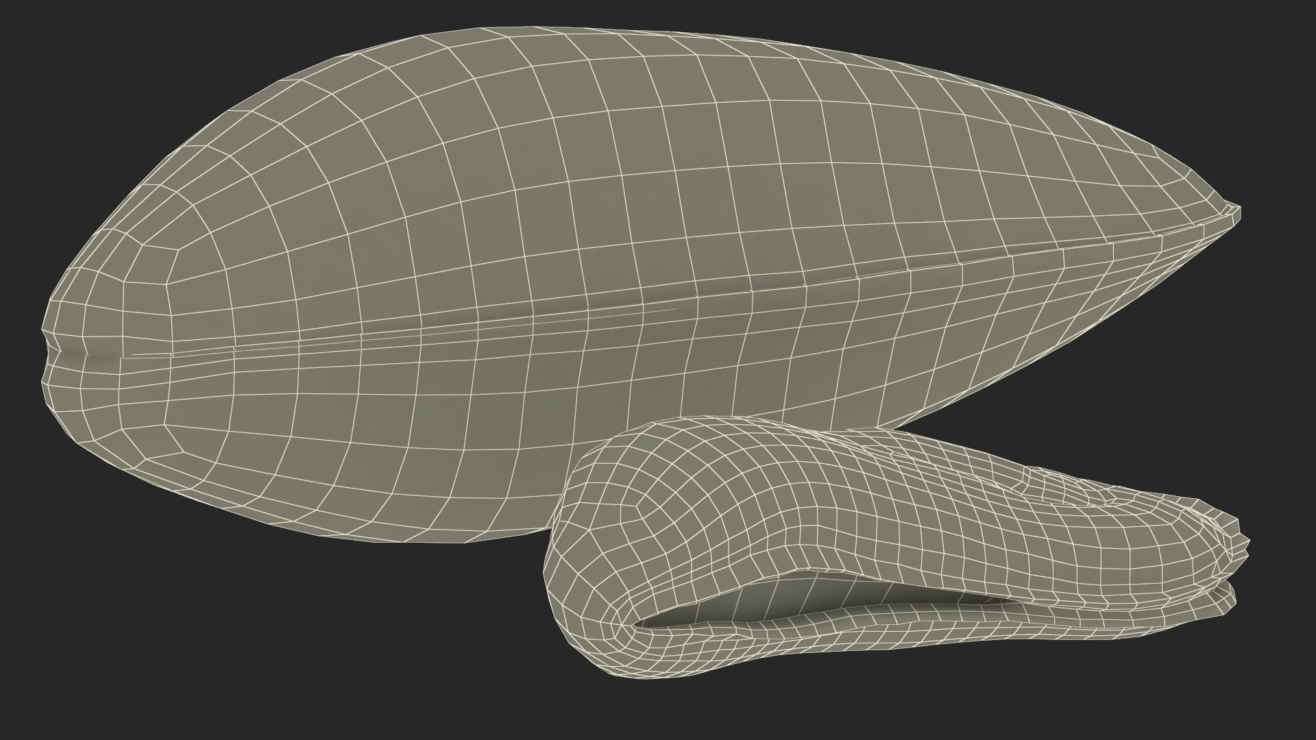 3D Boiled Sea Mussel Model - TurboSquid 2277625