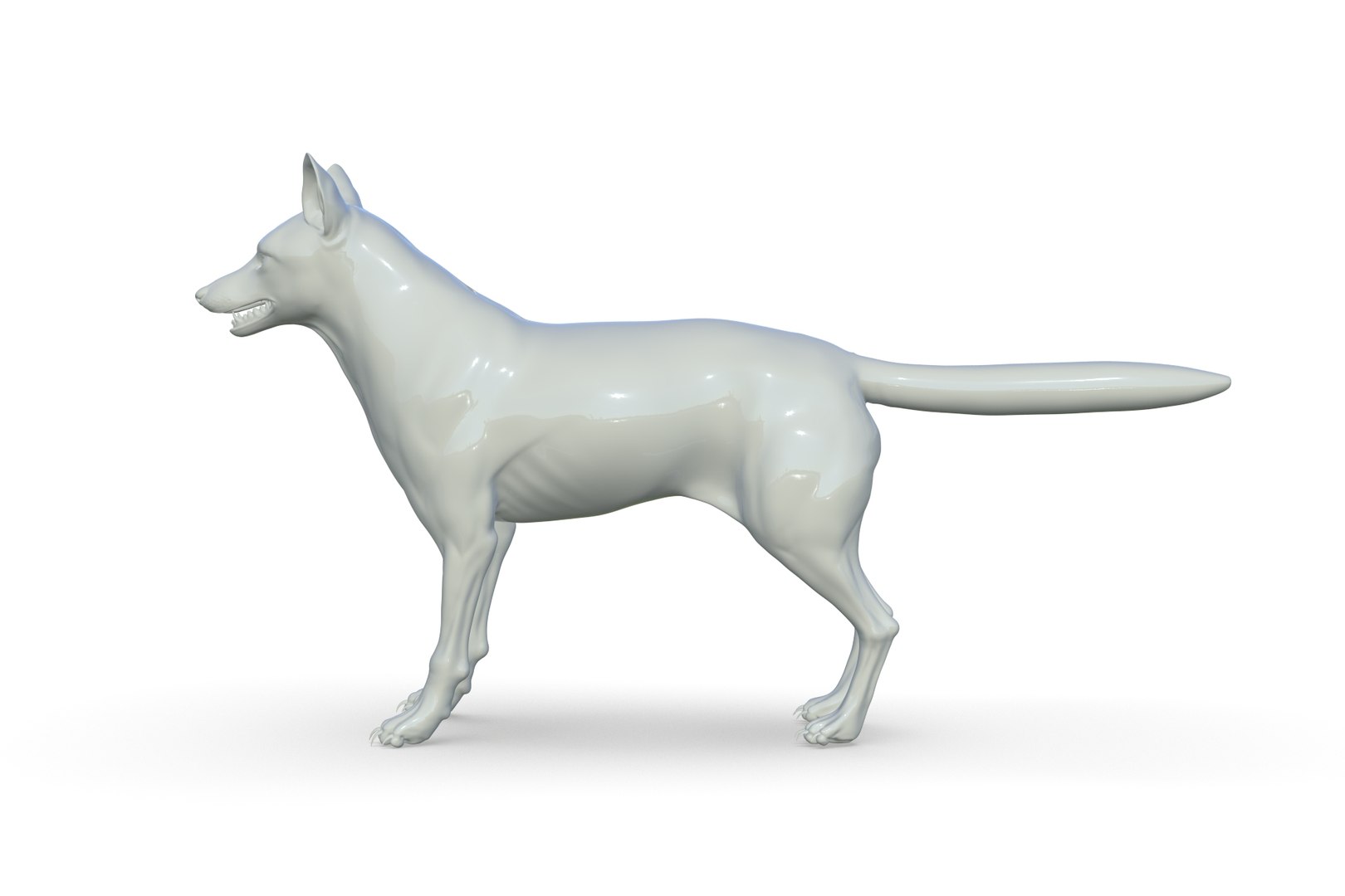 Coyote 3D Model - TurboSquid 2206716