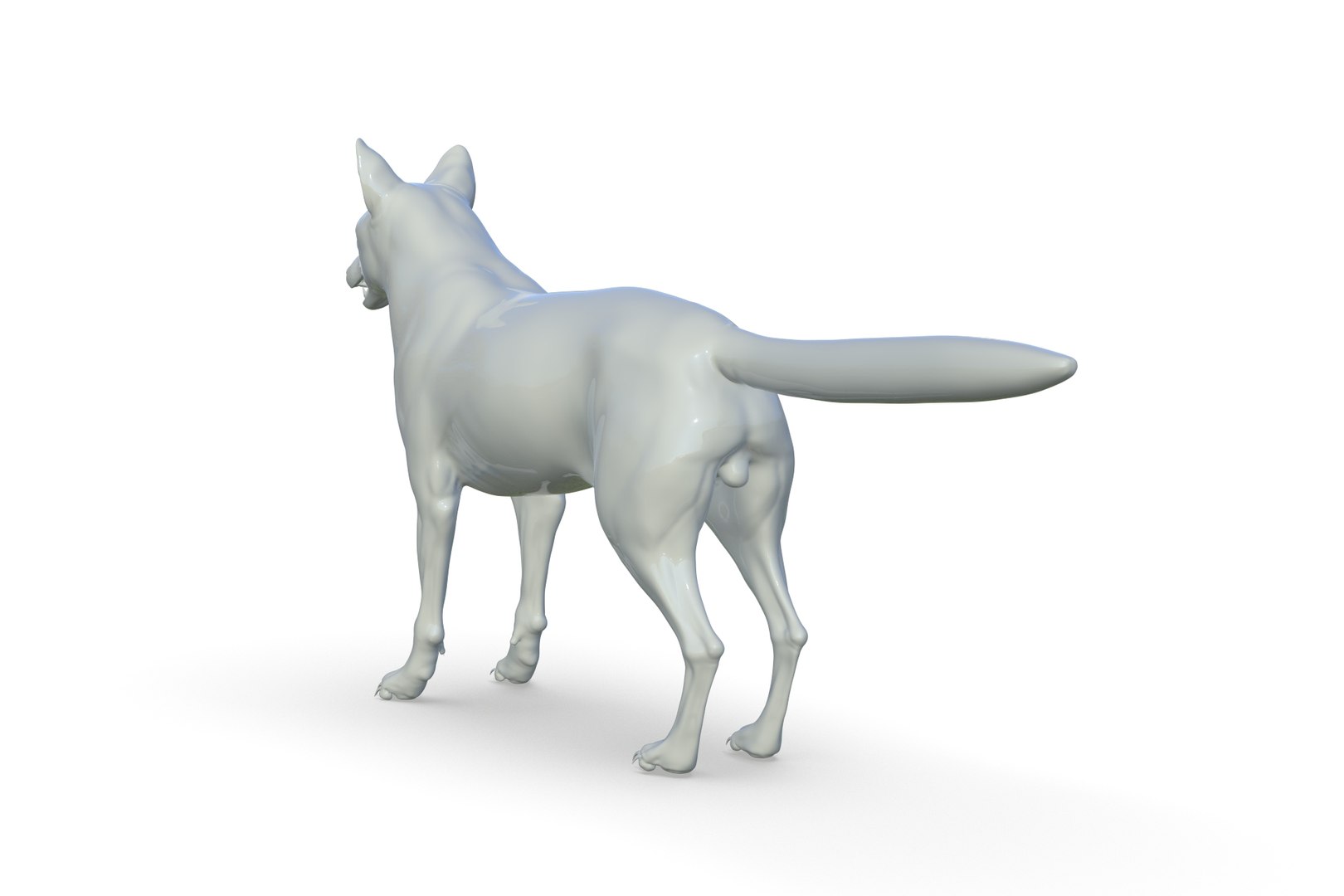 Coyote 3D Model - TurboSquid 2206716