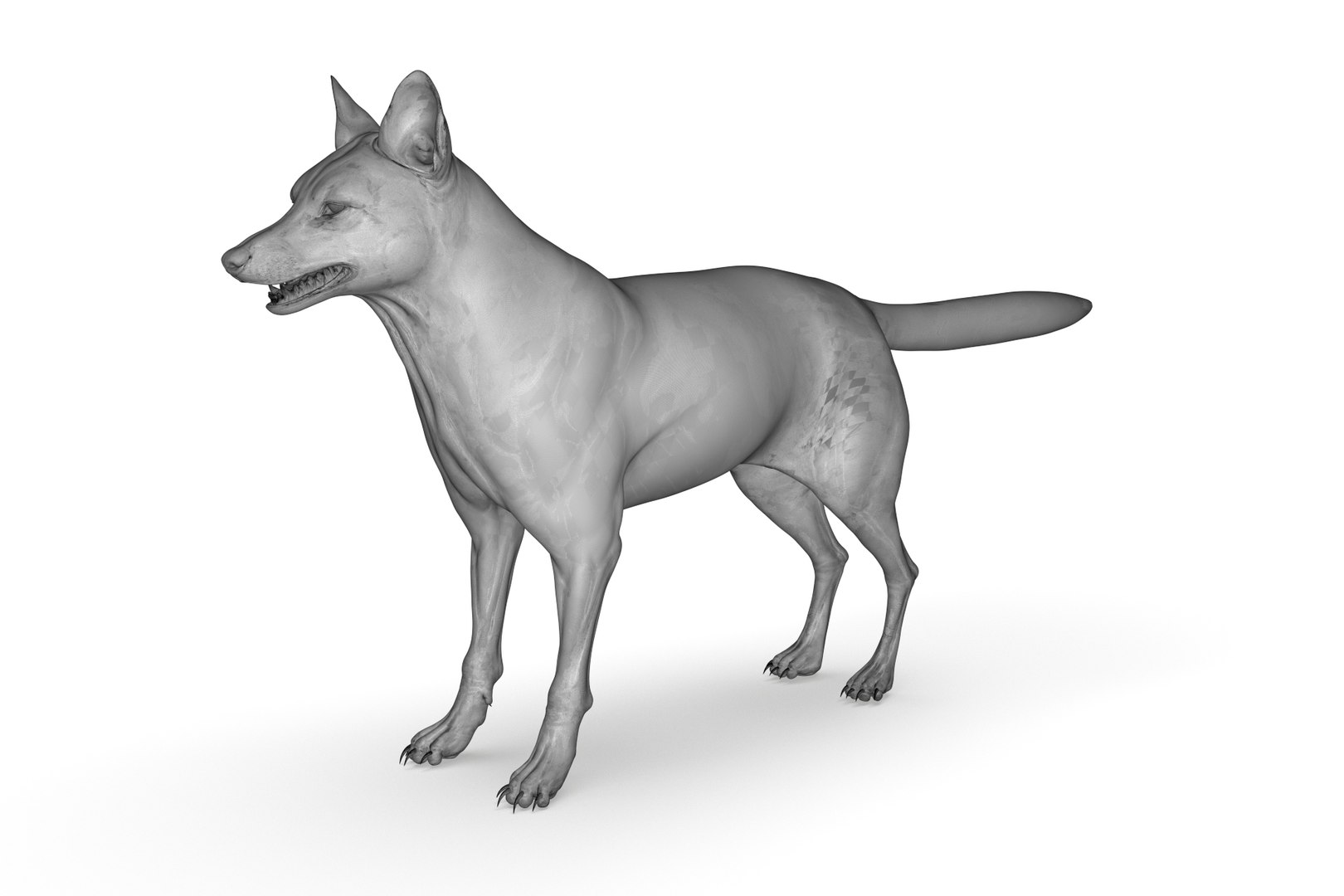 Coyote 3D Model - TurboSquid 2206716