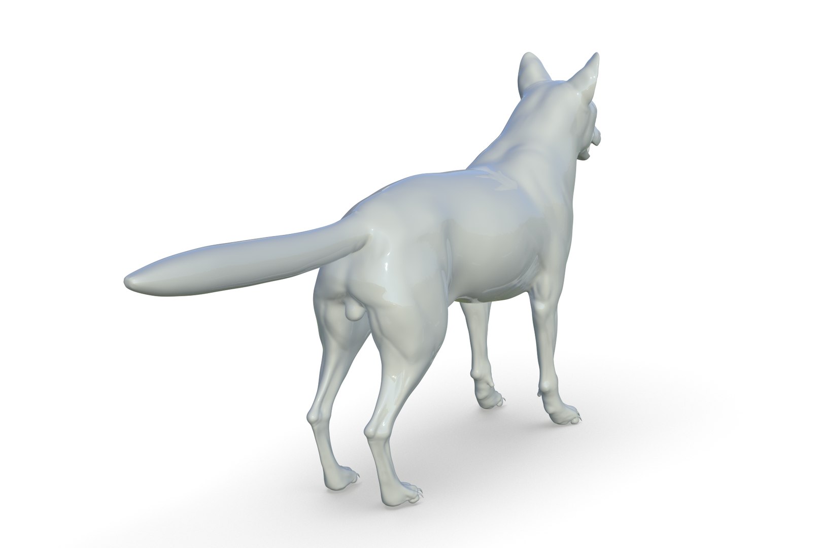 Coyote 3D Model - TurboSquid 2206716