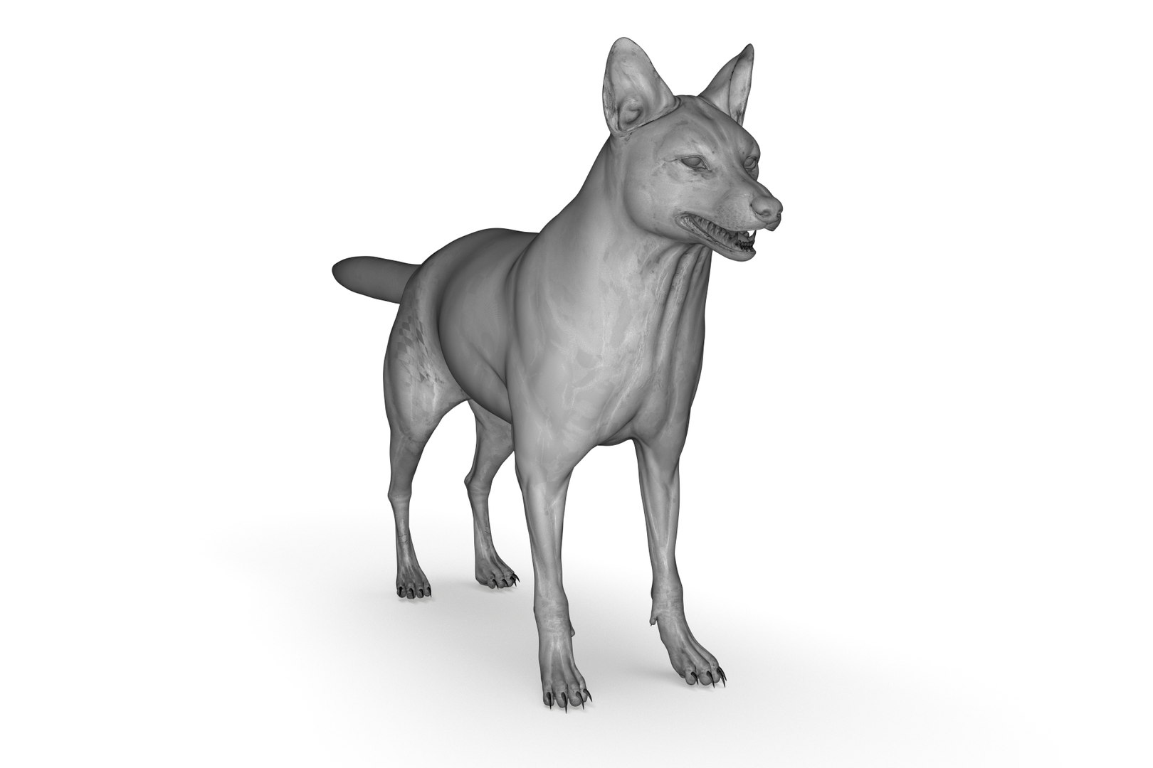 Coyote 3D Model - TurboSquid 2206716