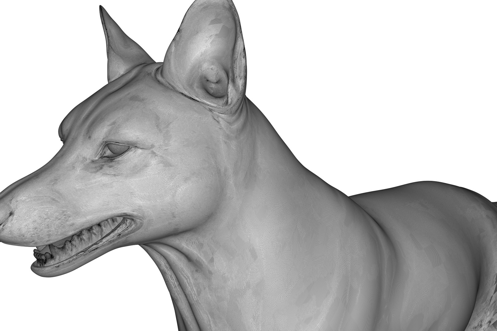 Coyote 3D Model - TurboSquid 2206716