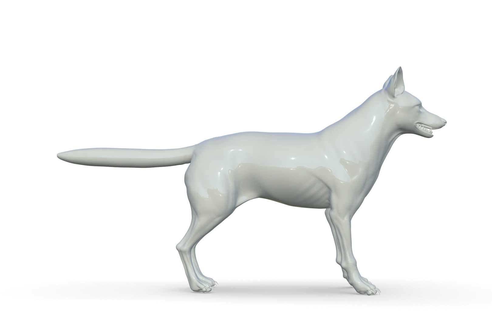 Coyote 3D Model - TurboSquid 2206716