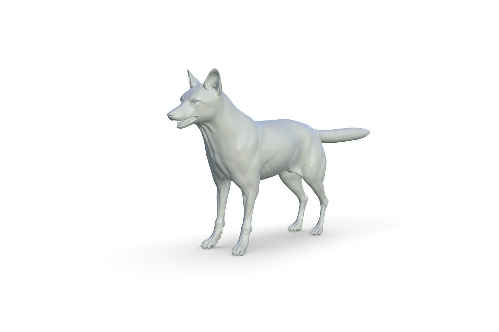 Coyote 3D Model - TurboSquid 2206716