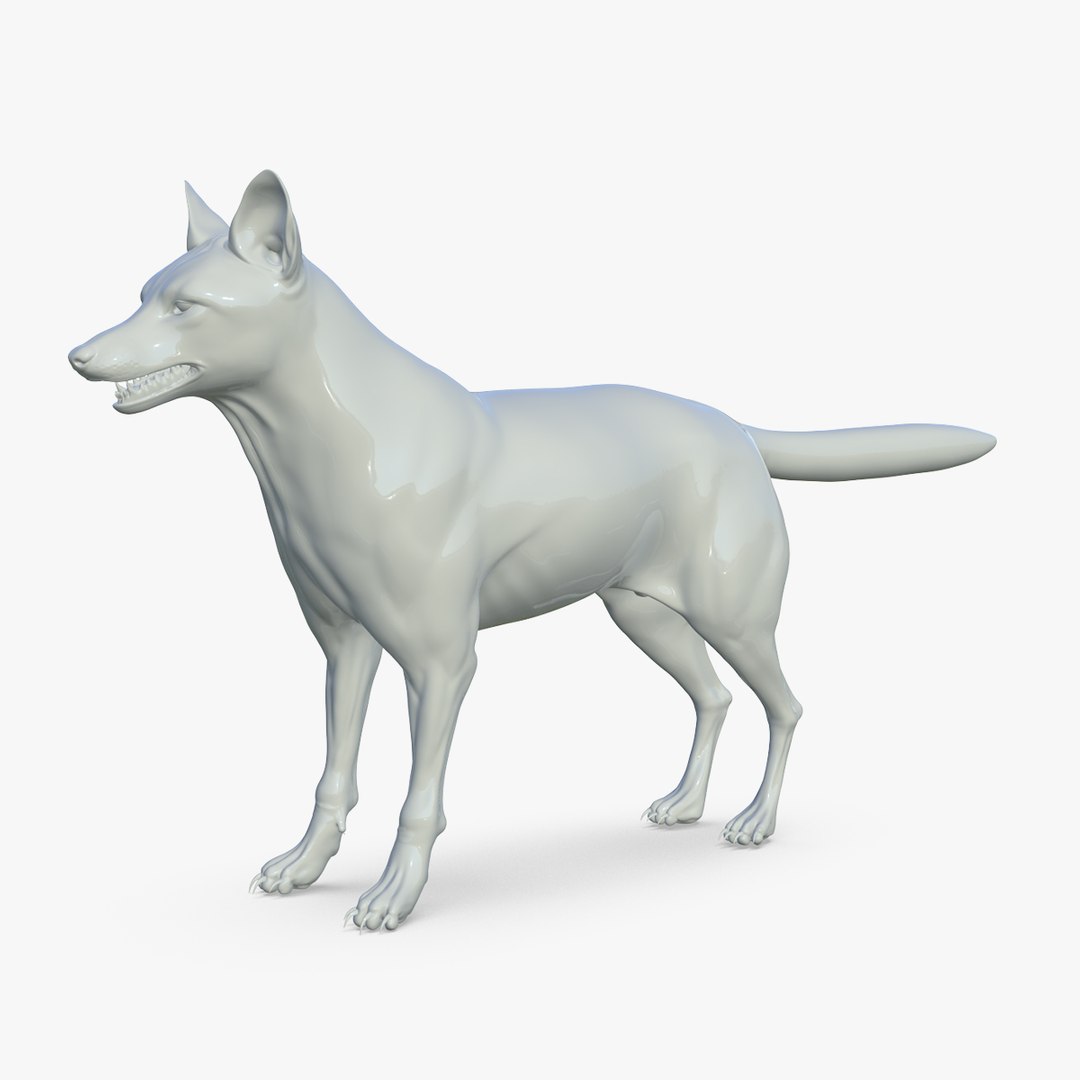 Coyote 3D Model - TurboSquid 2206716