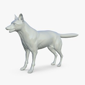 3D Coyote Models | TurboSquid