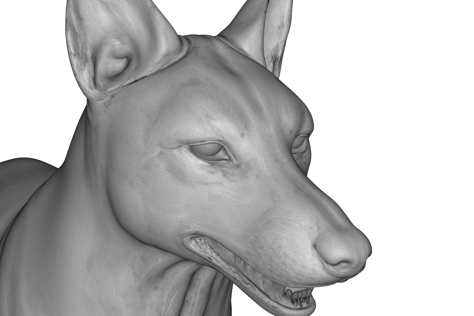 Coyote 3D Model - TurboSquid 2206716