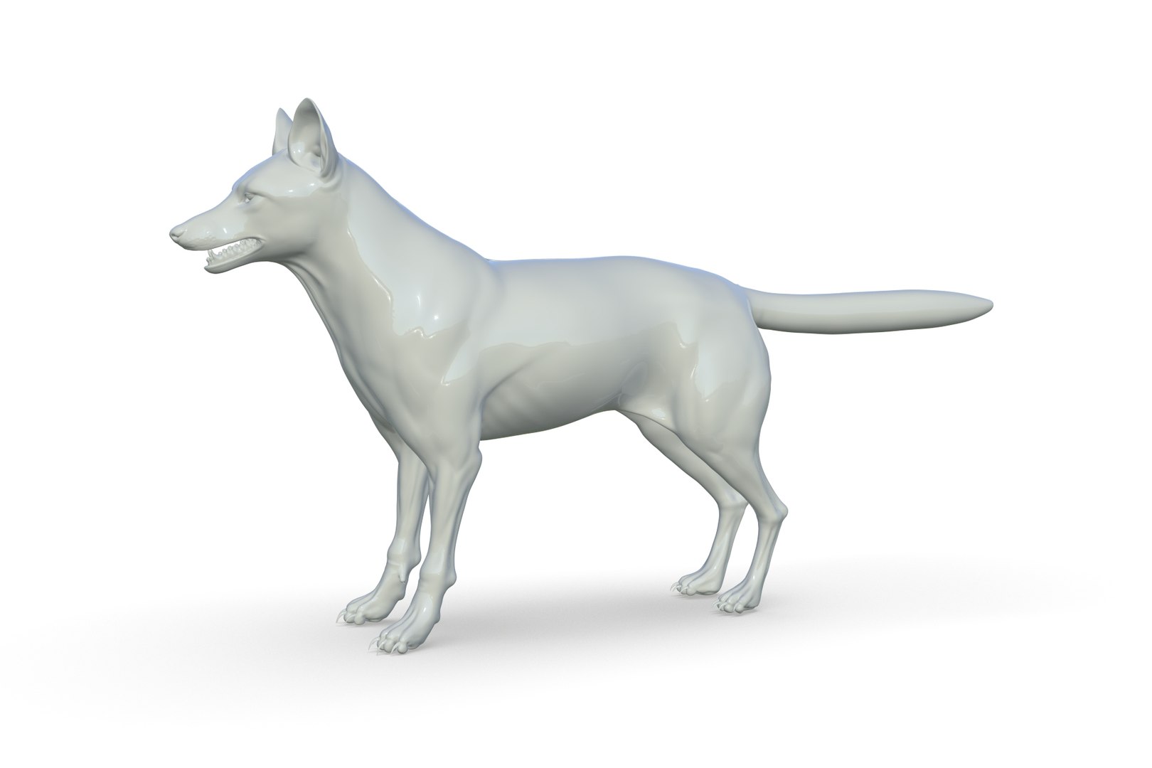 Coyote 3D Model - TurboSquid 2206716