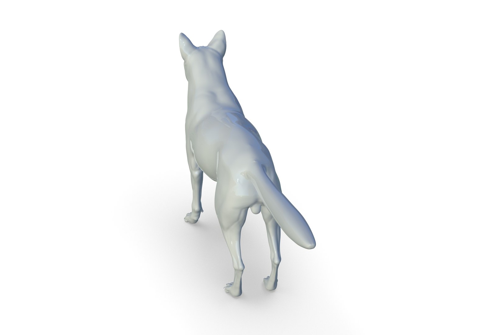 Coyote 3D Model - TurboSquid 2206716
