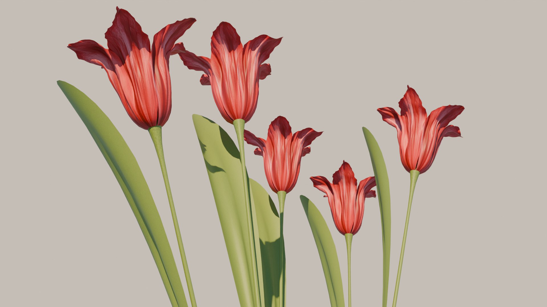 3D Red Flower Model - TurboSquid 2452253