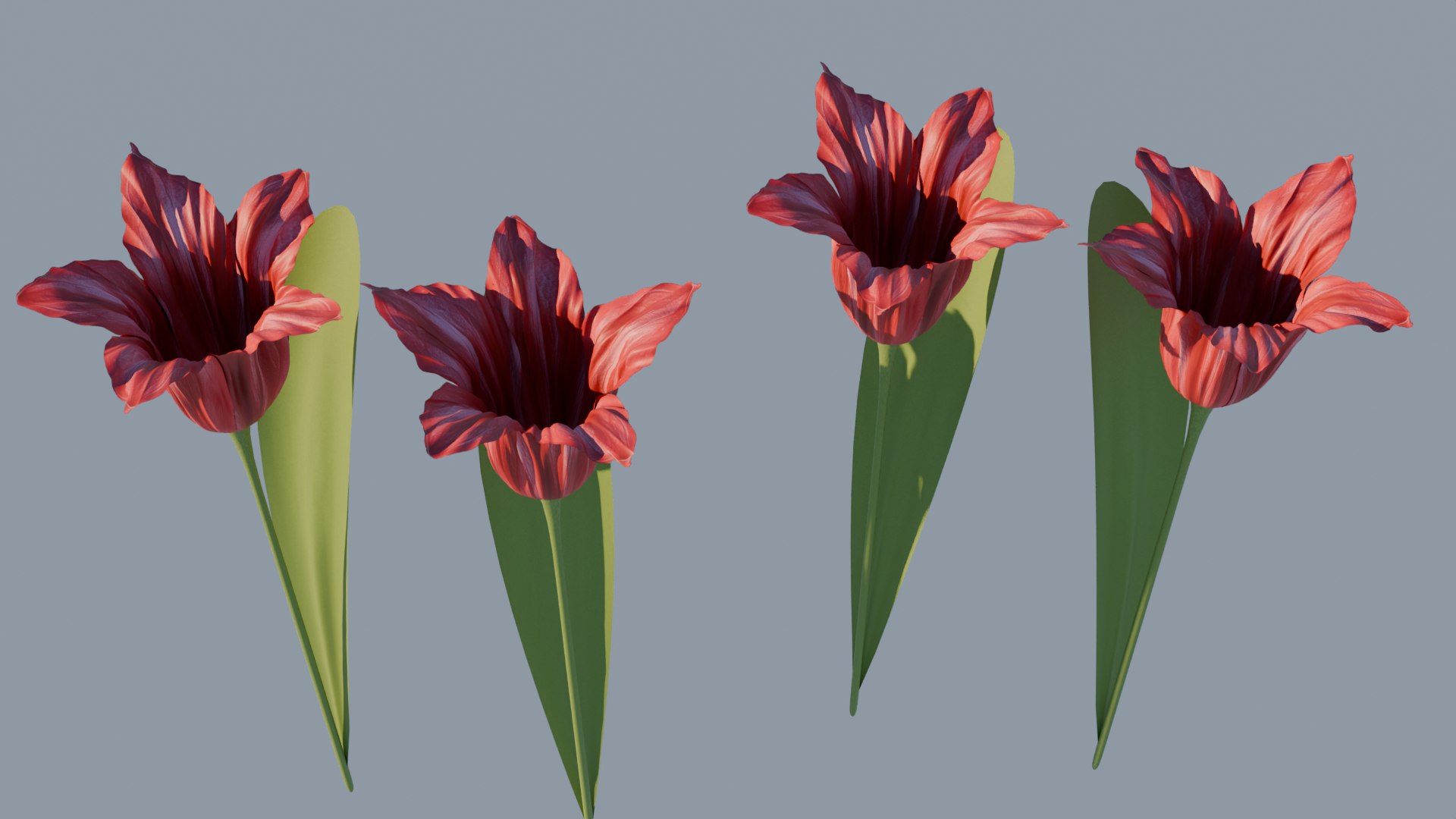 3D Red Flower Model - TurboSquid 2452253