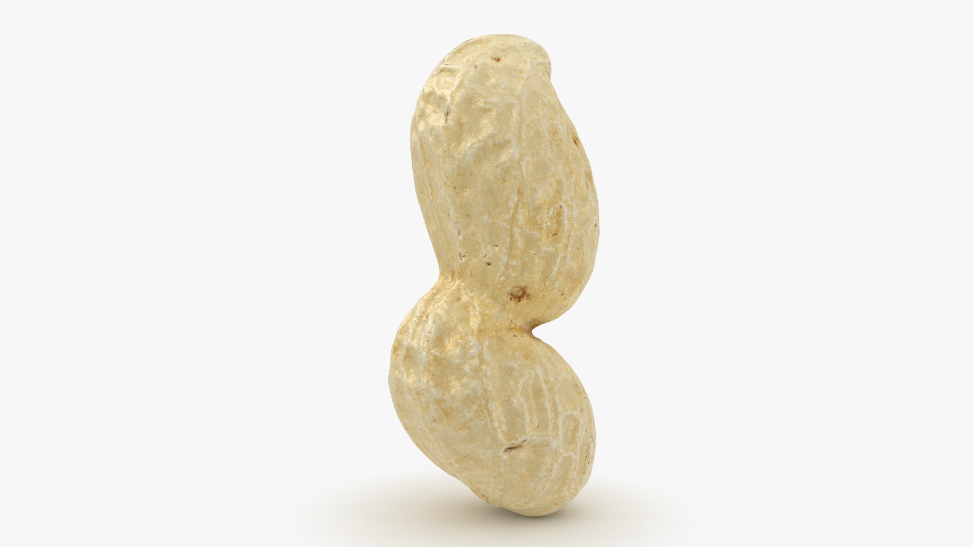 Peanut Shell 04 Model - TurboSquid 1960422