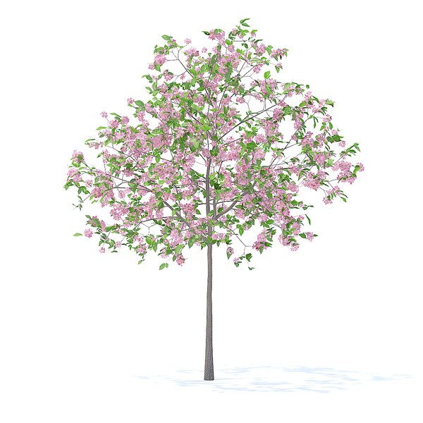 3D model fruit trees volume 95 - TurboSquid 1269721