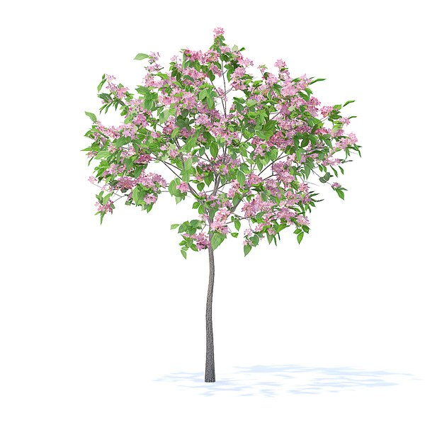 3D model fruit trees volume 95 - TurboSquid 1269721